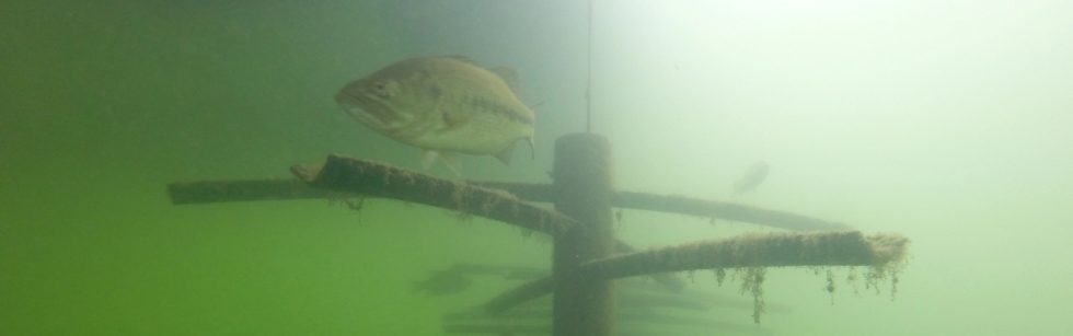 MossBack Artificial Fish Cover - MossBack Fish Habitat